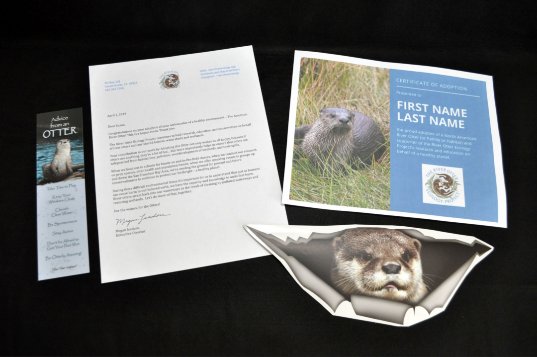 package1screenshot | River Otter Ecology Project